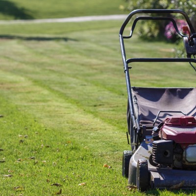 Another City Turns to Mow-to-Own Program - Route Fifty