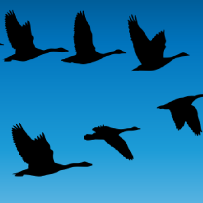 What can your agency learn from the CDM rollout at DHS? - Route Fifty