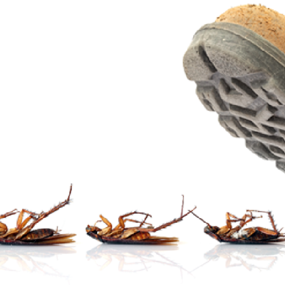 DOD bug bounty programs pay off - Route Fifty