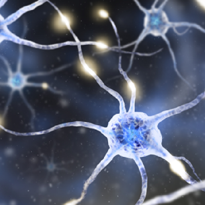 Reverse-engineering the brain to improve machine learning - Route Fifty