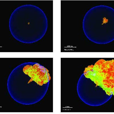 Super models - Route Fifty