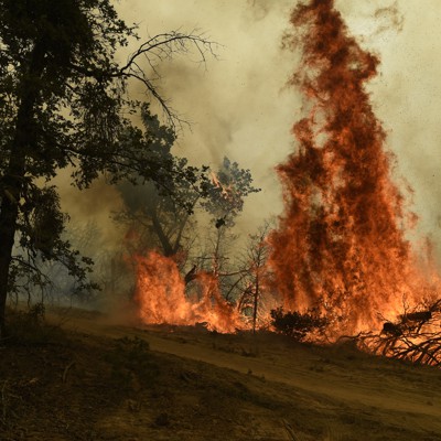Fire is Responsible for Quarter of US Forest Loss Since 2021 - Route Fifty