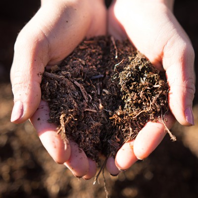 California legalizes human composting - Route Fifty