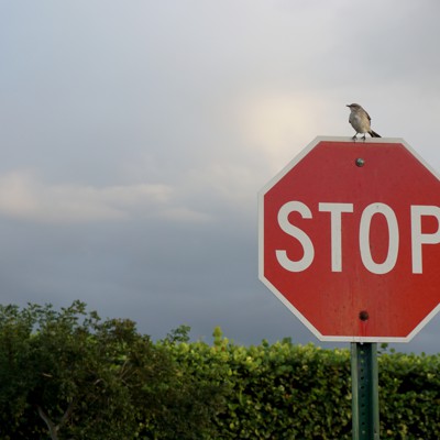 AI-backed stop sign cameras help slow down drivers - Route Fifty